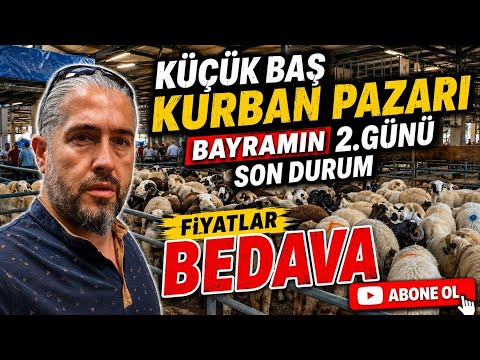 Küçükbaş kurban pazarında son kalan kurbanlıklar yarı fiyatına satılıyor pazar bitmiş
