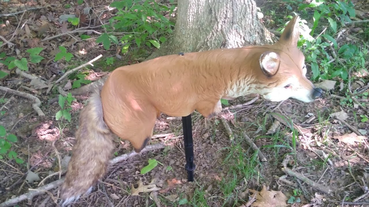 Bird X 3D Fox Decoy Review - YouTube