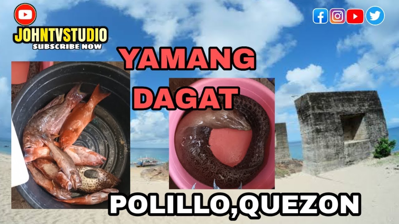 YAMANG DAGAT NG POLILLO, QUEZON| #polillo #island #fishing - YouTube