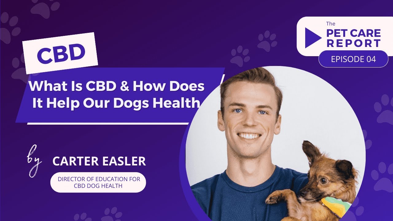 Episode 4 Live Pet Care Report Featuring CBD Dog Health s Carter episode-4-live-pet-care-report-featuring-cbd-dog-health-s-carter