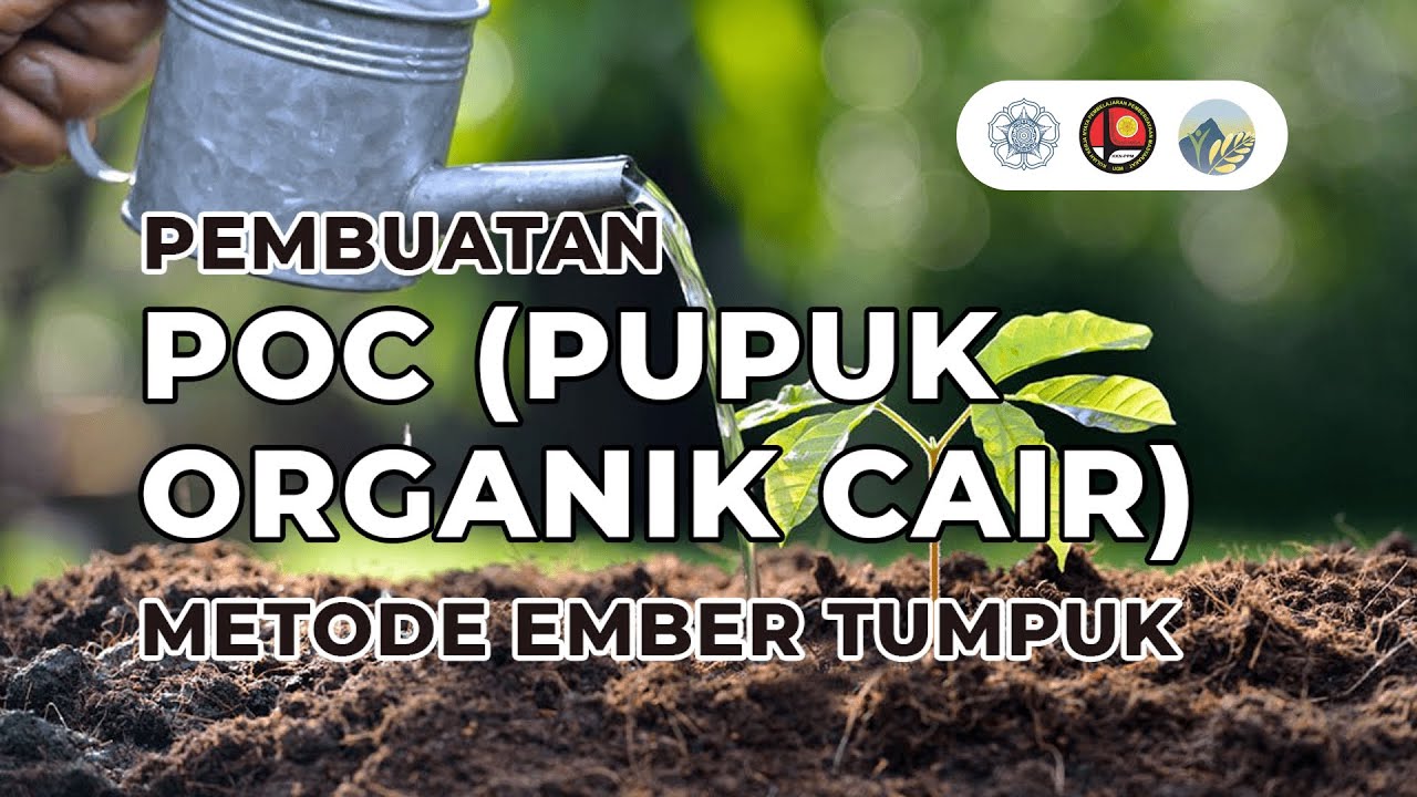 PEMBUATAN PUPUK ORGANIK CAIR (POC) DENGAN METODE EMBER TUMPUK - YouTube