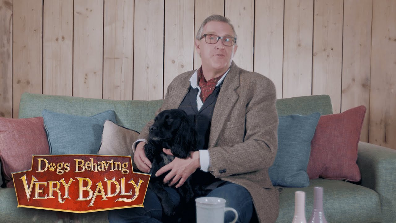 Getting A Puppy? | Getting A Dog | Dogs Behaving Very Badly - YouTube