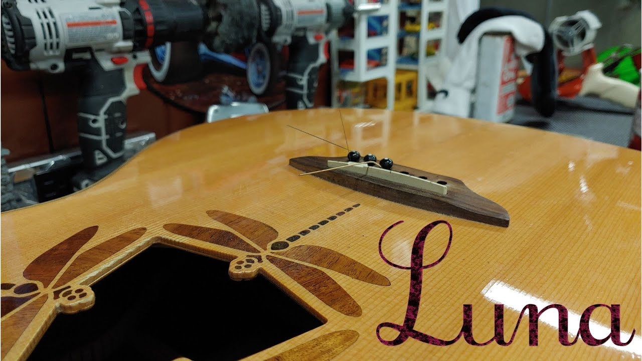 $25 dollar Flea market Luna Dragonfly Guitar gets a set up. - YouTube