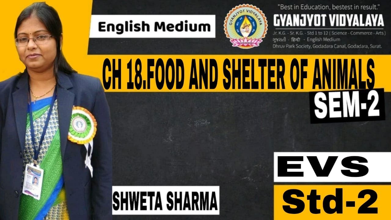 STD 2 /EVS/ CH 18. FOOD AND SHELTER OF ANIMALS - YouTube