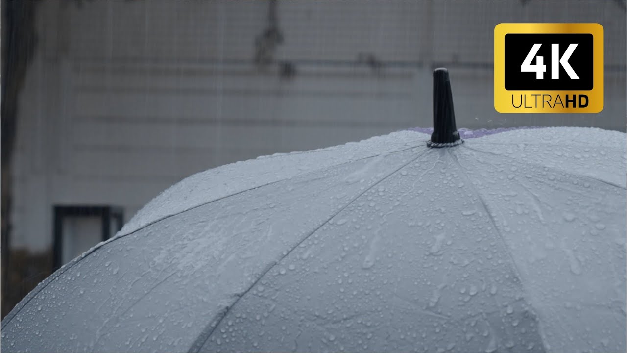 🌧️☔️ ASMR Rain on Umbrella | Relaxation, Sleep, Focus - 4K Relaxing Video - YouTube