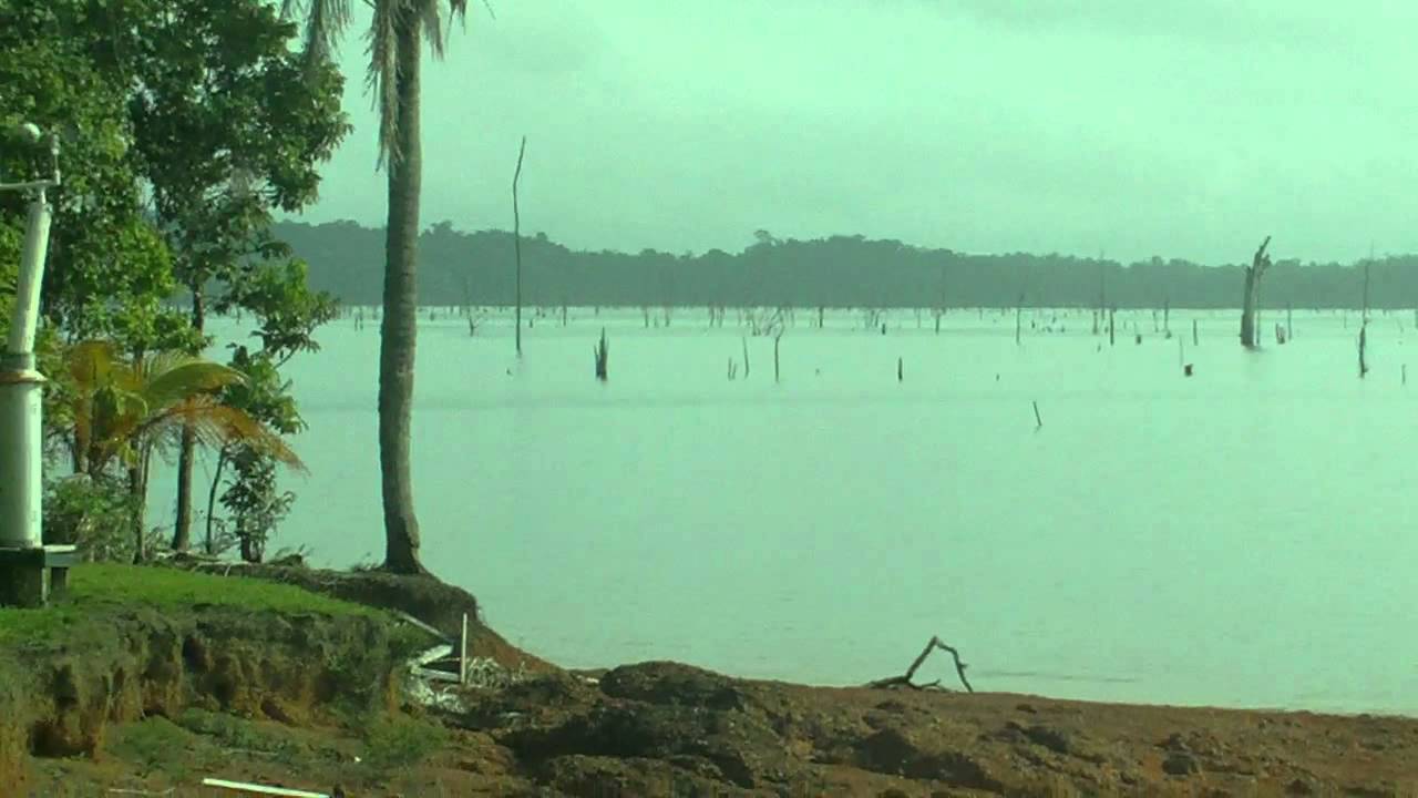 Suriname. Overzicht Tonka Eiland - YouTube