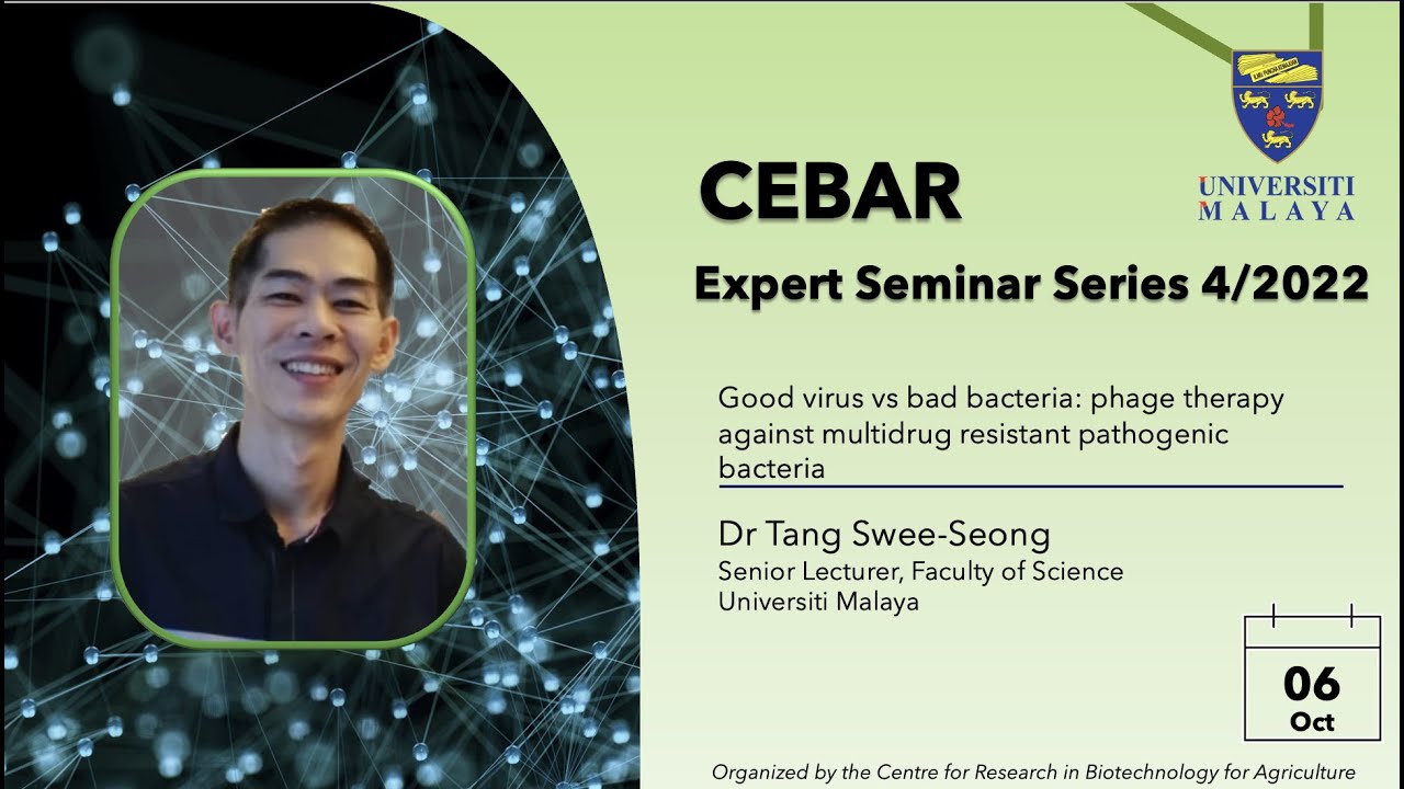 Good virus vs bad bacteria: phage therapy against multidrug resistant ...