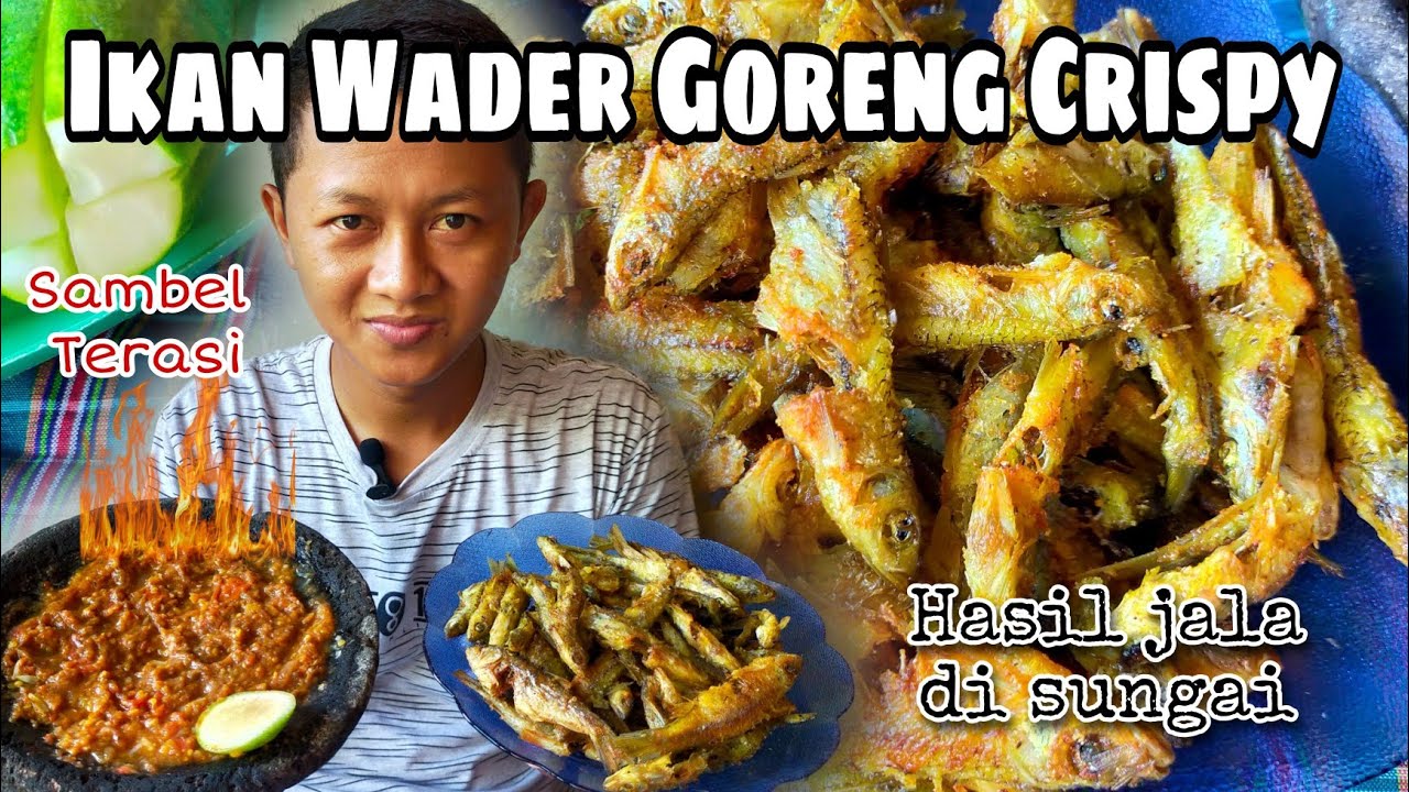 HASIL JALA DI SUNGAI BELAKANG RUMAH ! Ikan Wader Goreng Crispy ...