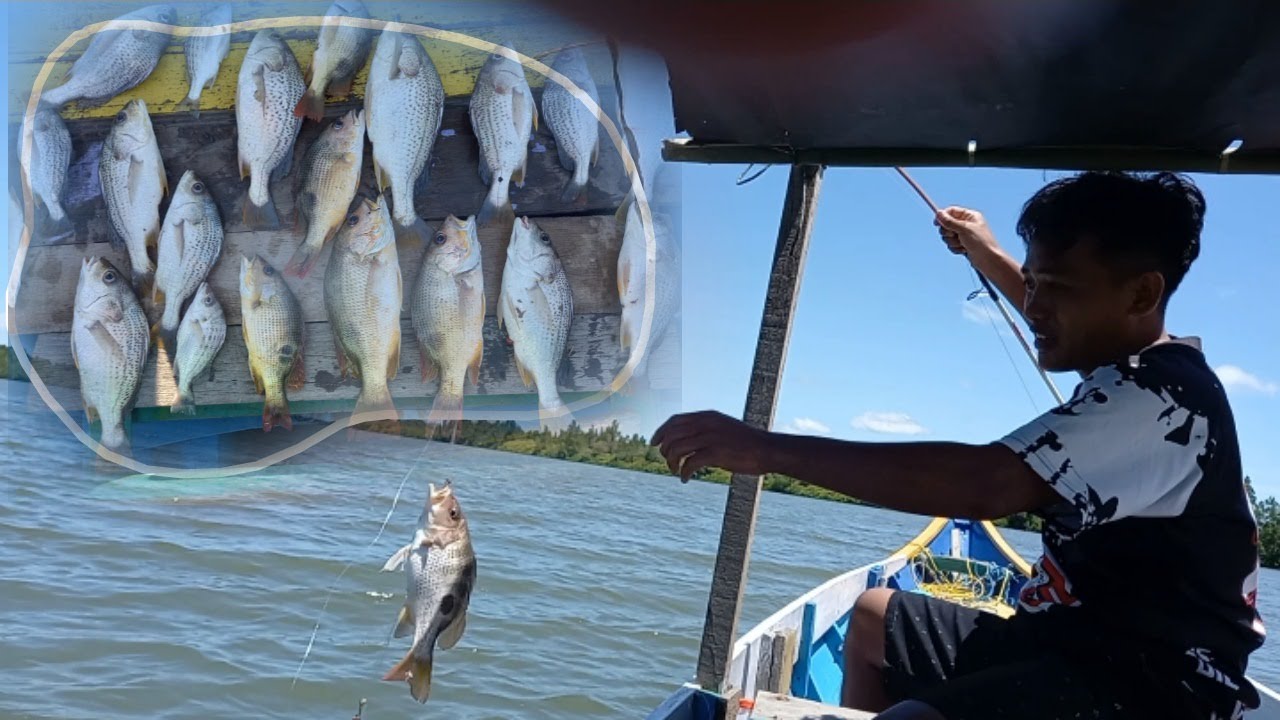 spot Mancing di sungai, sangat menjanjikan ikan tompel-ikan gerot gerot ...
