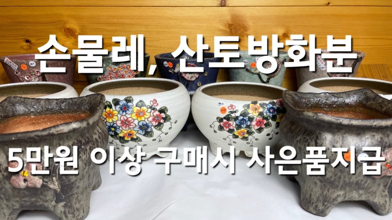 197 200 손물레 수제화분과 산토방 화분😍귀티 좔좔👍 고급화분 다육식물 다육이 다육이화분 다육화분 수제화분 화분