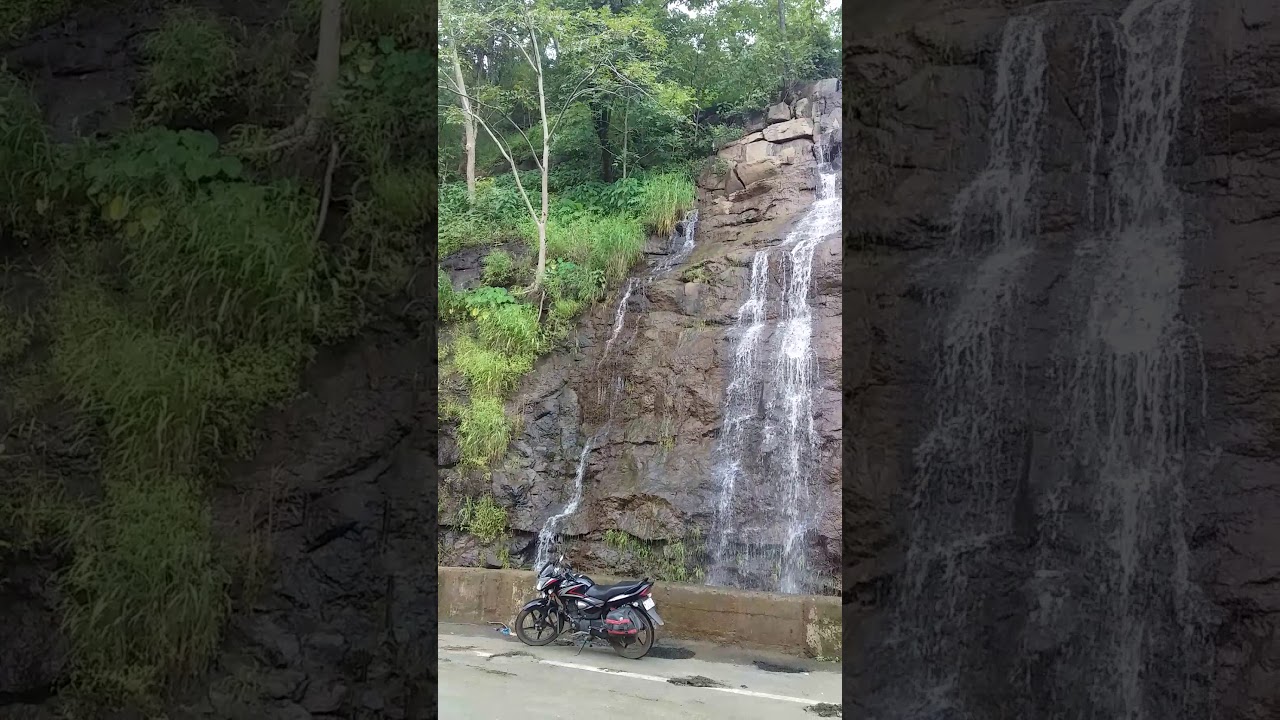 Naturally Dang Forest Ahwa. - YouTube