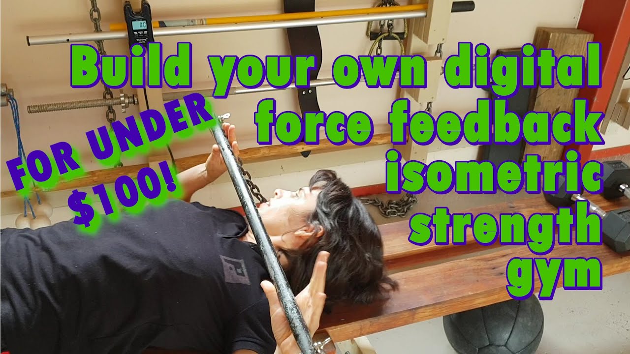 Build Your Own Digital Force Feedback Isometric Strength Gym for under ...