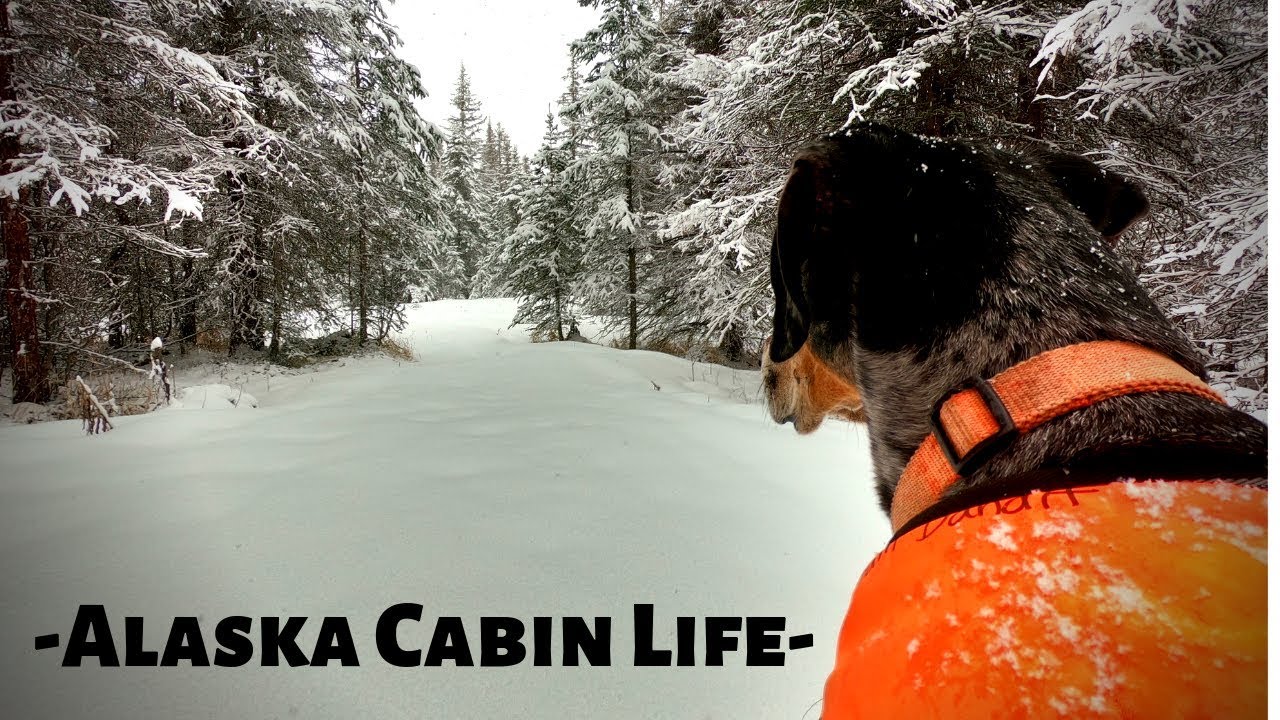 Winter's Not Over Yet | A Day in Our Lives Living Off Grid - YouTube