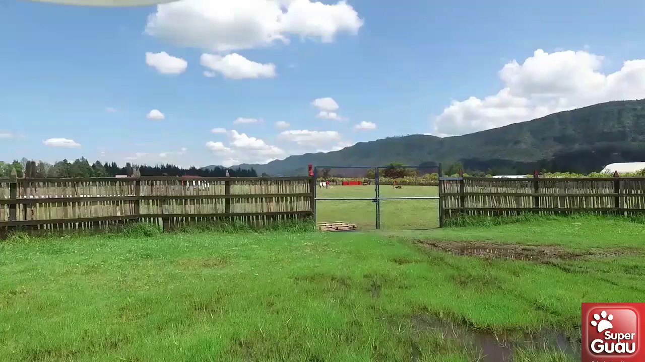 SUPER GUAU INSTALACIONES - YouTube