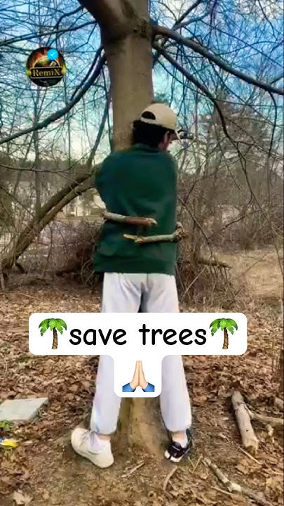 🌴Save trees🌳 #trees #plants #savetrees - YouTube