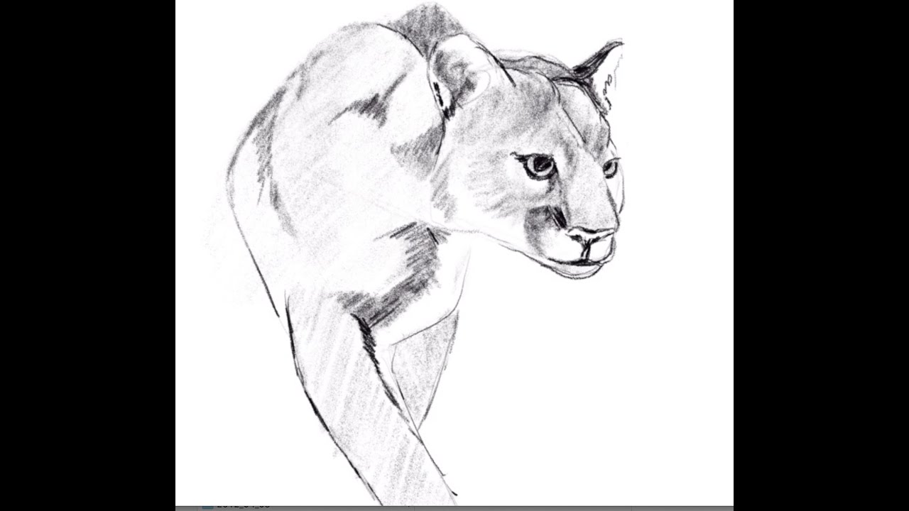 My drawing struggles - 9 - YouTube