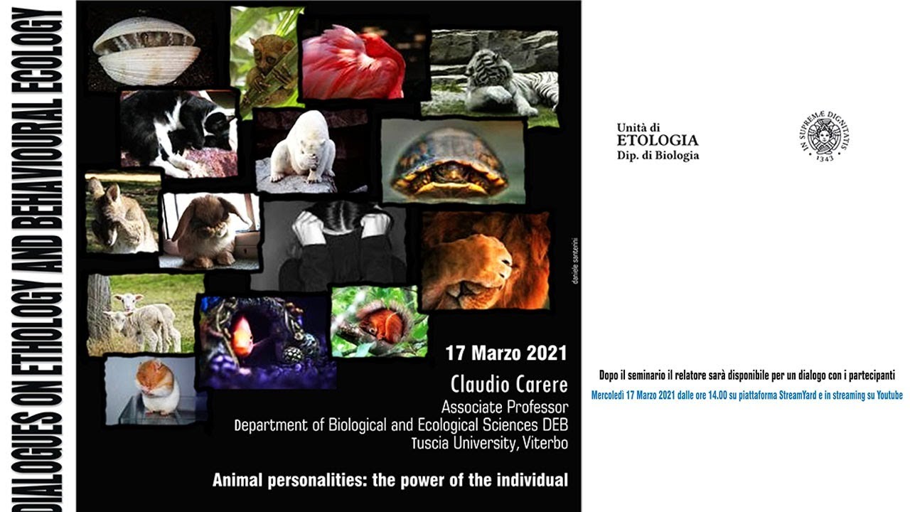 Animal personalities: the power of the individual - YouTube
