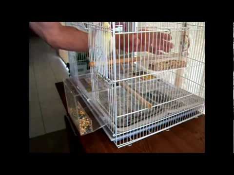 Tidy Seed No-Mess Bird Feeder Full Demonstration