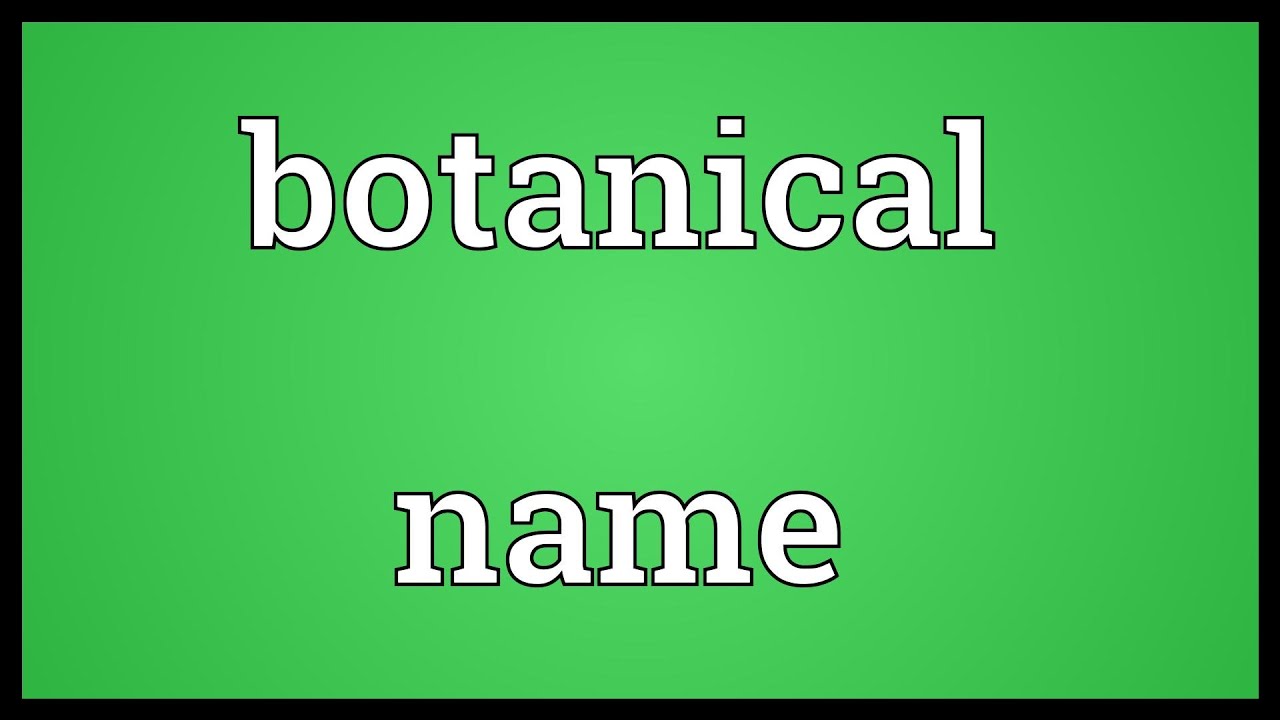 Botanical name Meaning - YouTube
