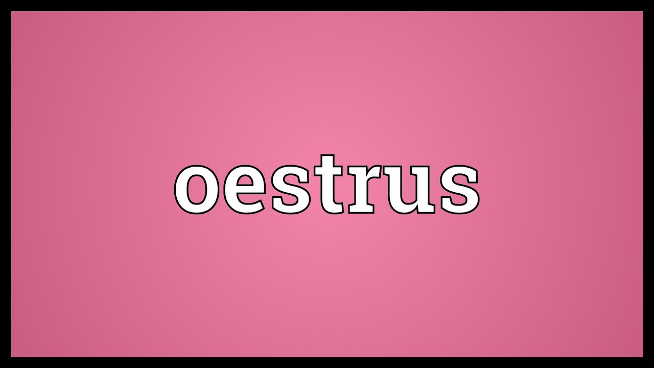 Oestrus Meaning - YouTube