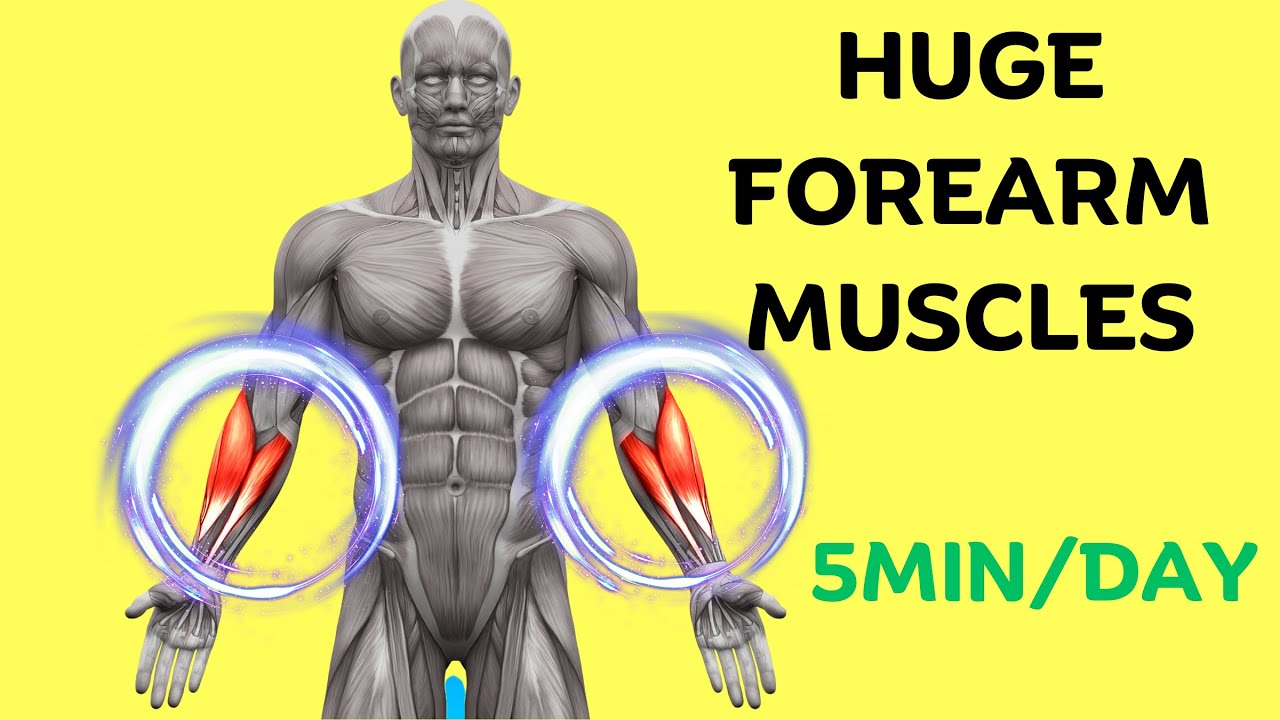 FOREARM WORKOUT Every Day For 30 Days | FOREARM TRANSFORMATION - YouTube