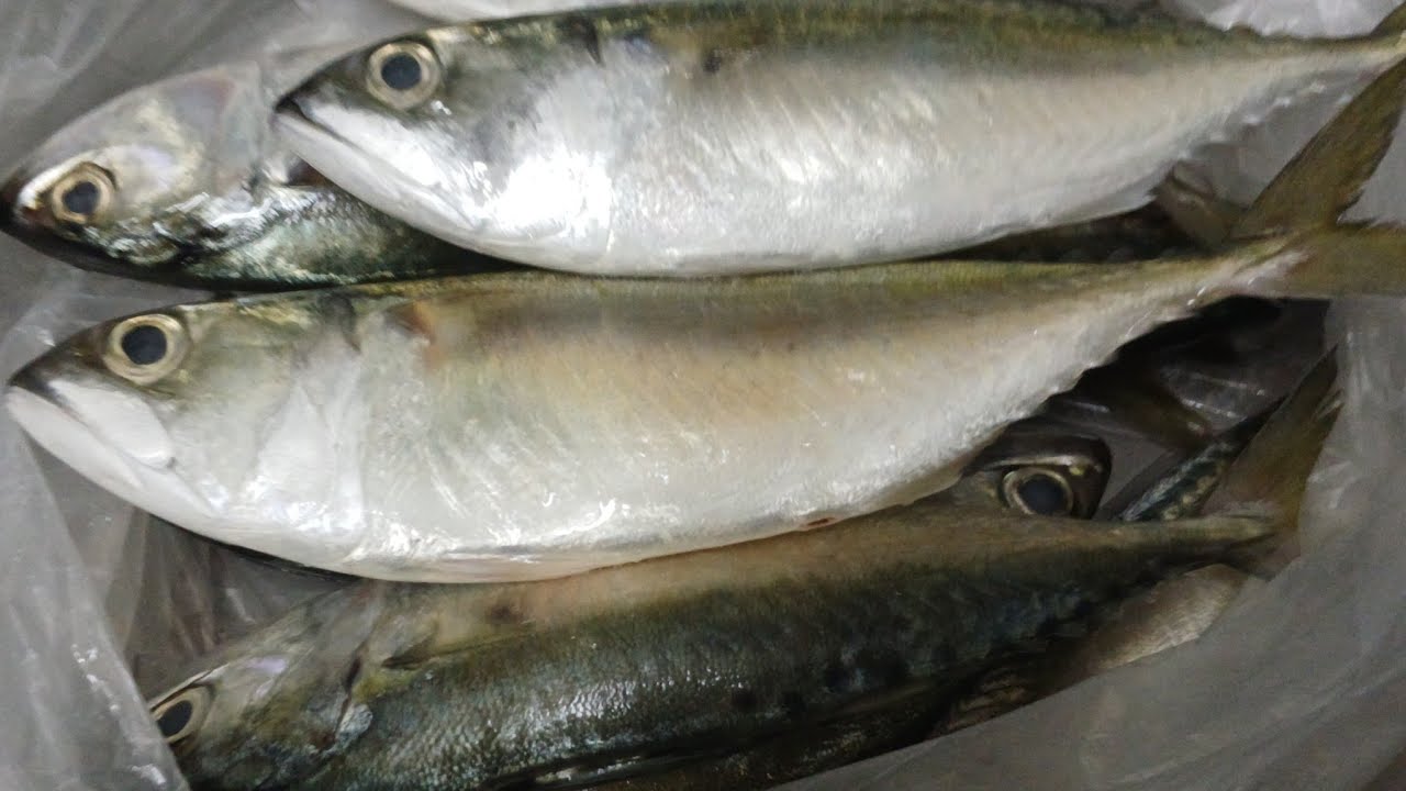 asam pedas ikan temenung orang utara. - YouTube