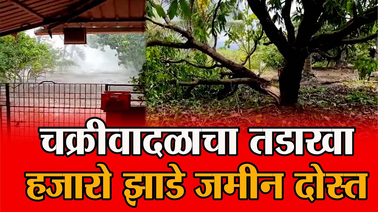 चक्रीवादळाचा तडाखा हजारो झाडे जमीन दोस्त | snn marathi । viral video ...