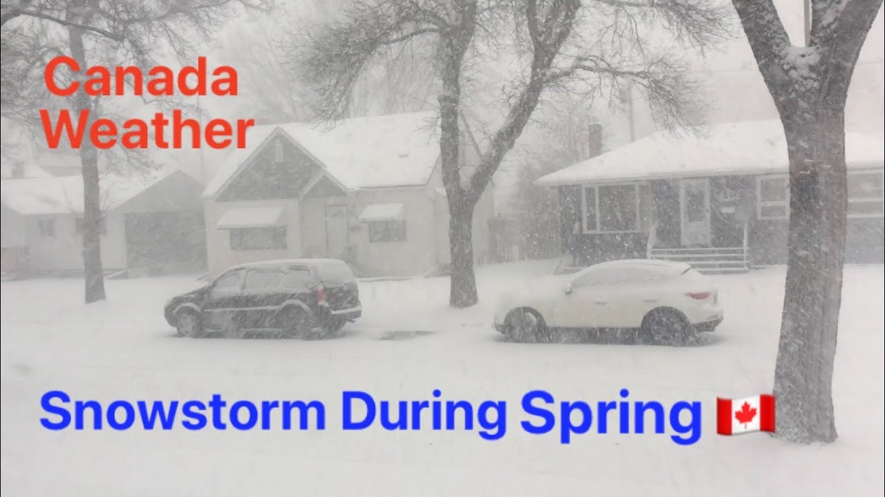 Snowstorm During Spring | Canada Weather | Spring 2025 | Richmond ...