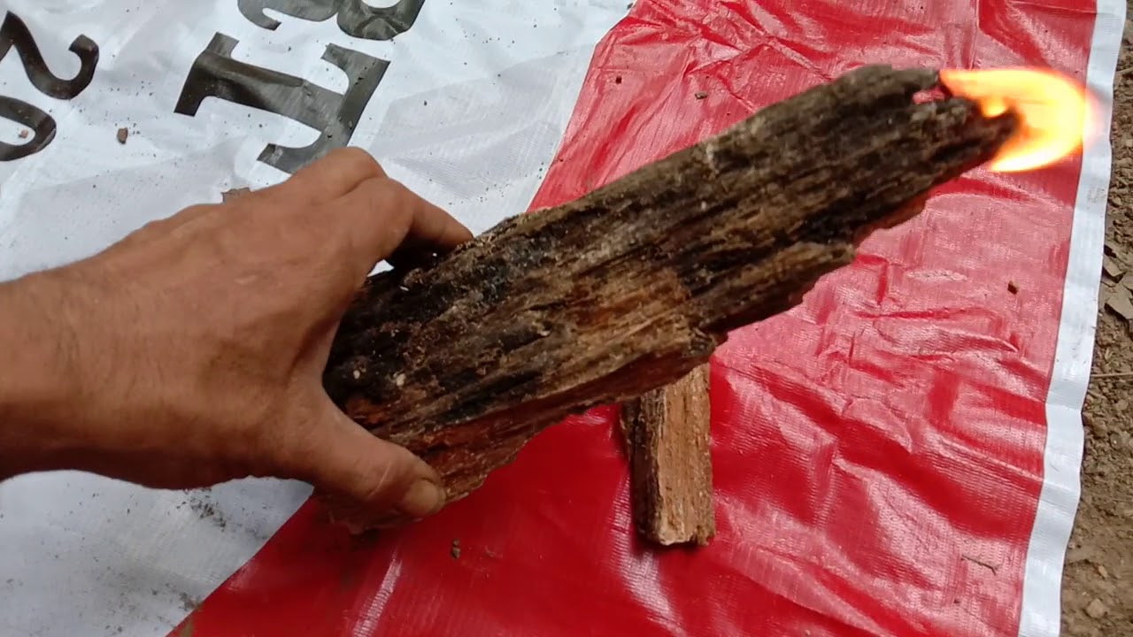 api abadi suku Dayak Punan getah keruing - YouTube