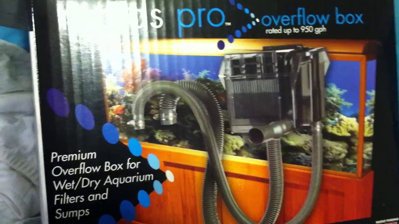 UNBOXING TOM'S RAPIDS PRO OVERFLOW - YouTube