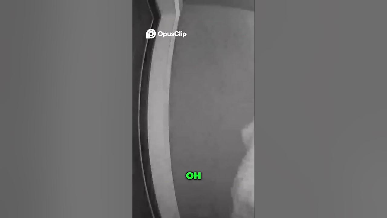 OMG! Dog's Unexpected Encounters! - YouTube