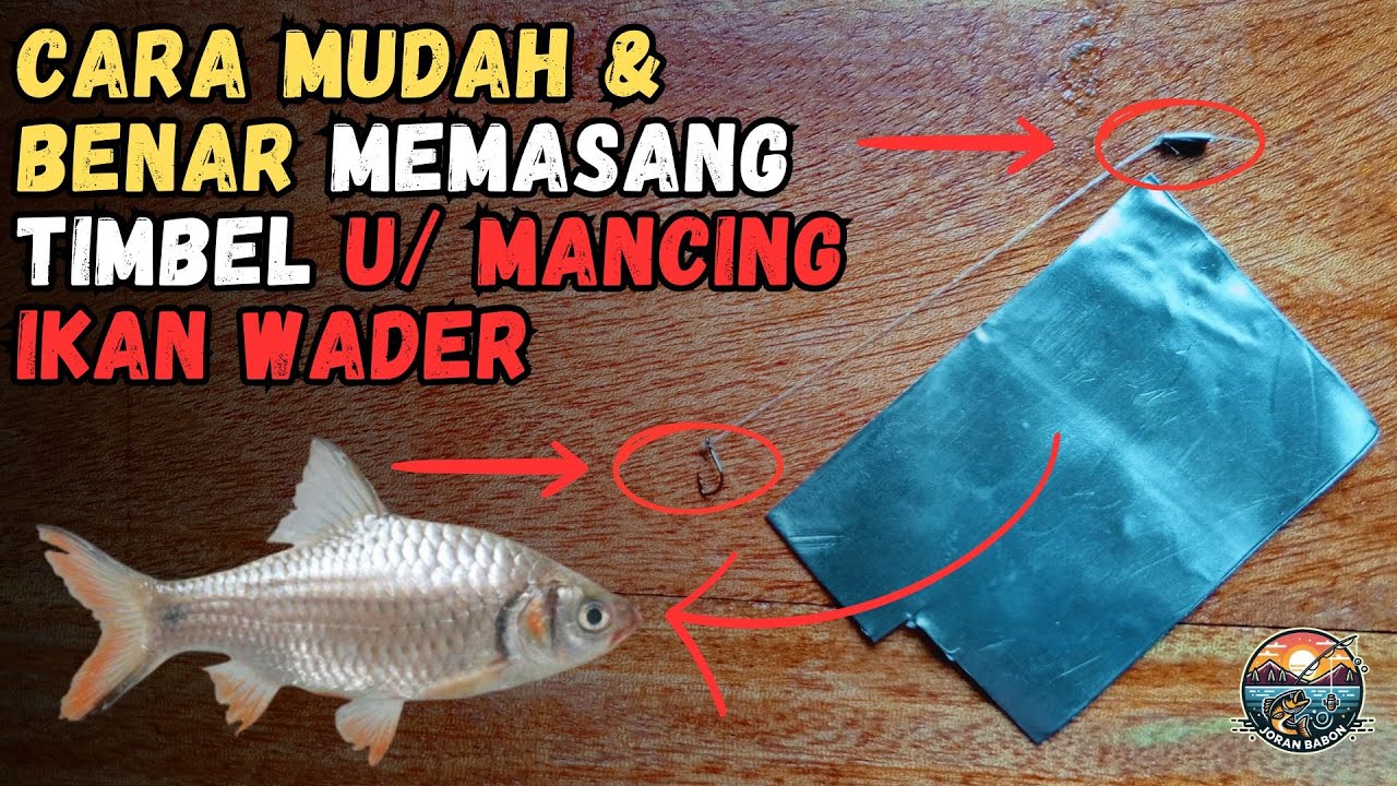 Cara Mudah dan Benar Pasang Timbel Pancing Ikan Wader di Sungai Keruh ...