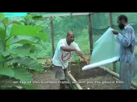 Propagating teak truncheons - YouTube