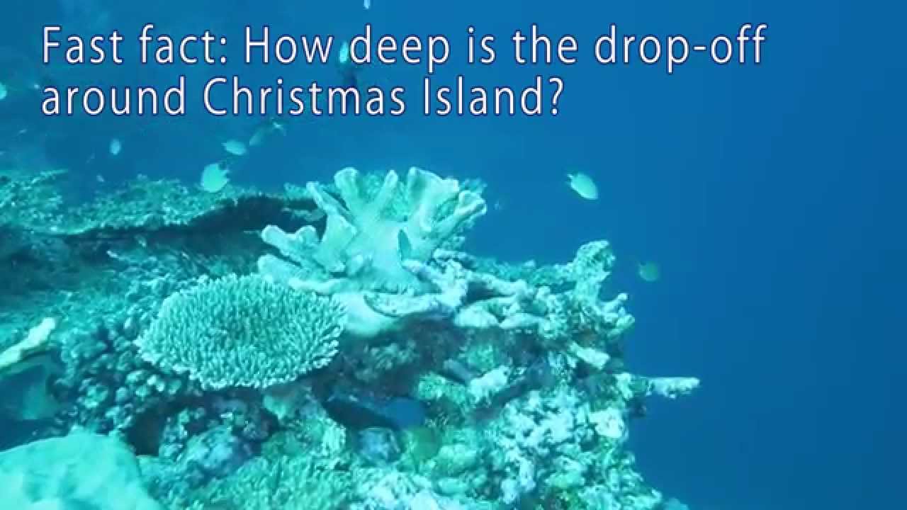 Christmas Island Fast Fact No 4 How Deep YouTube christmas-island-fast-fact-no-4-how-deep-youtube