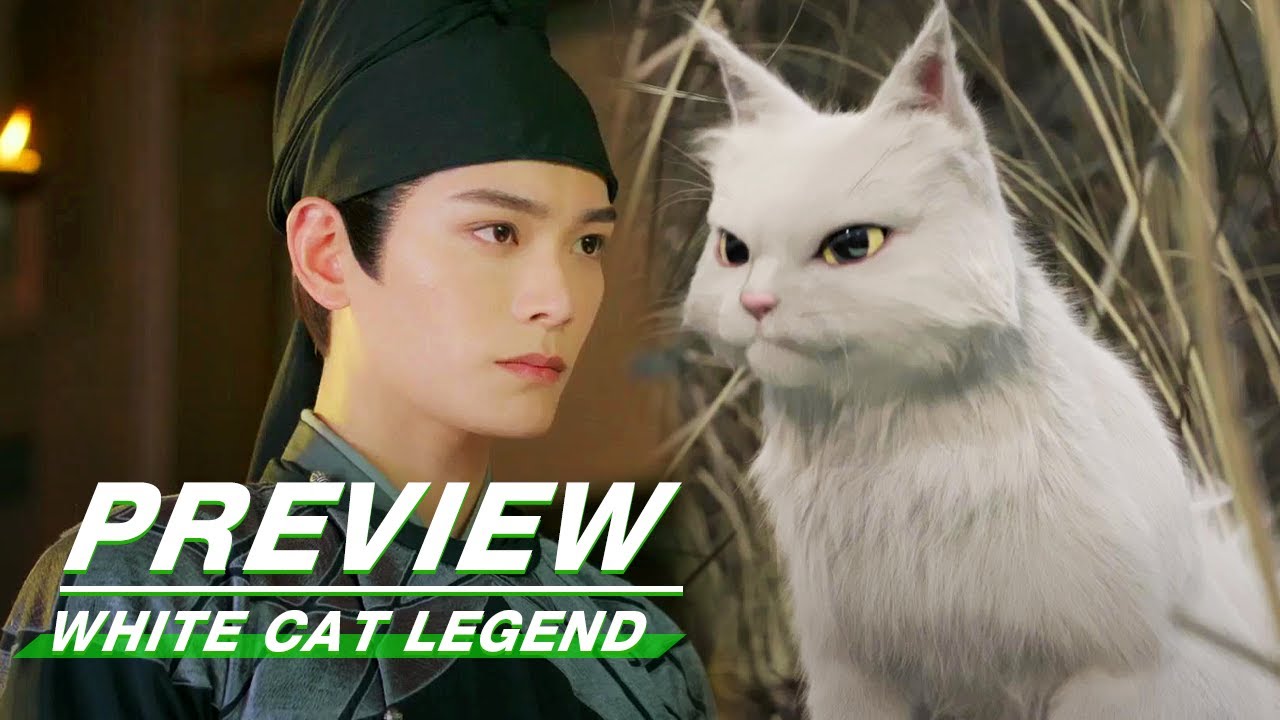 EP6 Preview | White Cat Legend | 大理寺少卿游 | iQIYI - YouTube