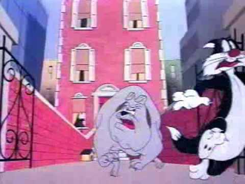Looney Toons - Tweety And Sylvester Muzzle Tough