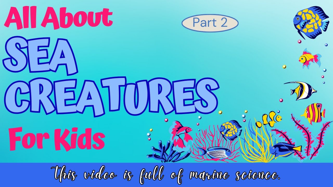 SEA CREATURES part 2| Exploring Sea Creatures | Incredible Deep Sea ...