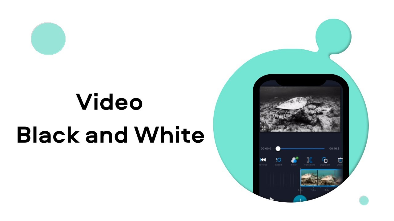How to MAKE A VIDEO BLACK AND WHITE on your phone? (Tutorial 2019 ...