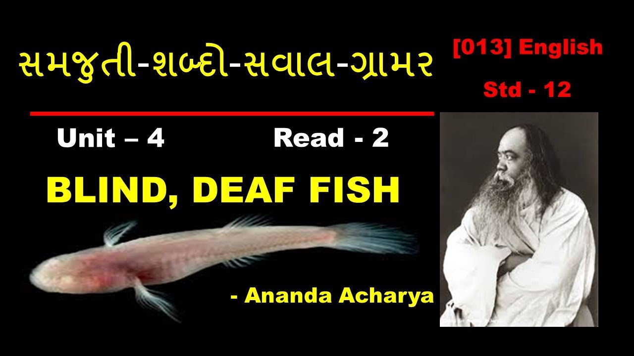 Std-12 GSEB Unit-4, Read-2 : BLIND, DEAF FISH - સમજુતી-શબ્દો-સવાલ ...