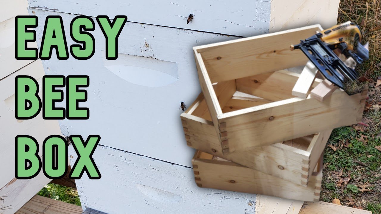 How to build a honey bee hive box - YouTube