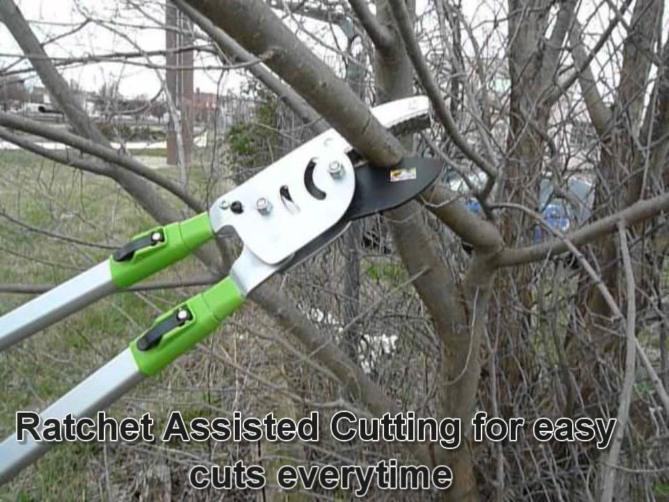 32" Telescoping Loppers - YouTube