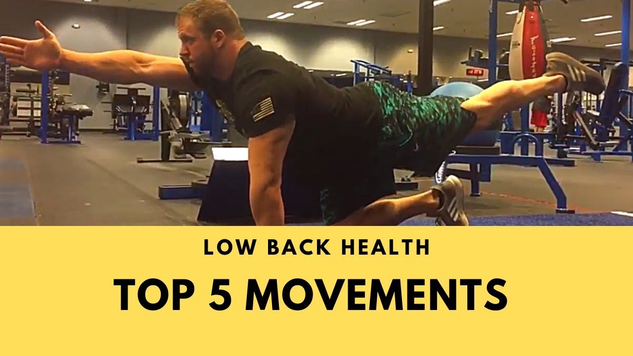The Big 5 Movements for a Healthy Low Back!! - YouTube