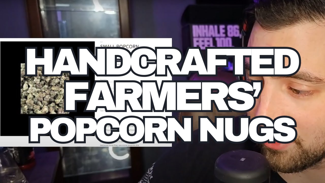 Handcrafted Farmers' Popcorn Nugs | Blue Zherbert | Best Budget THCa ...