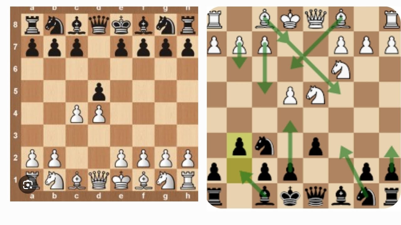 Top 5 Most aggressive Chess Opening ever - YouTube