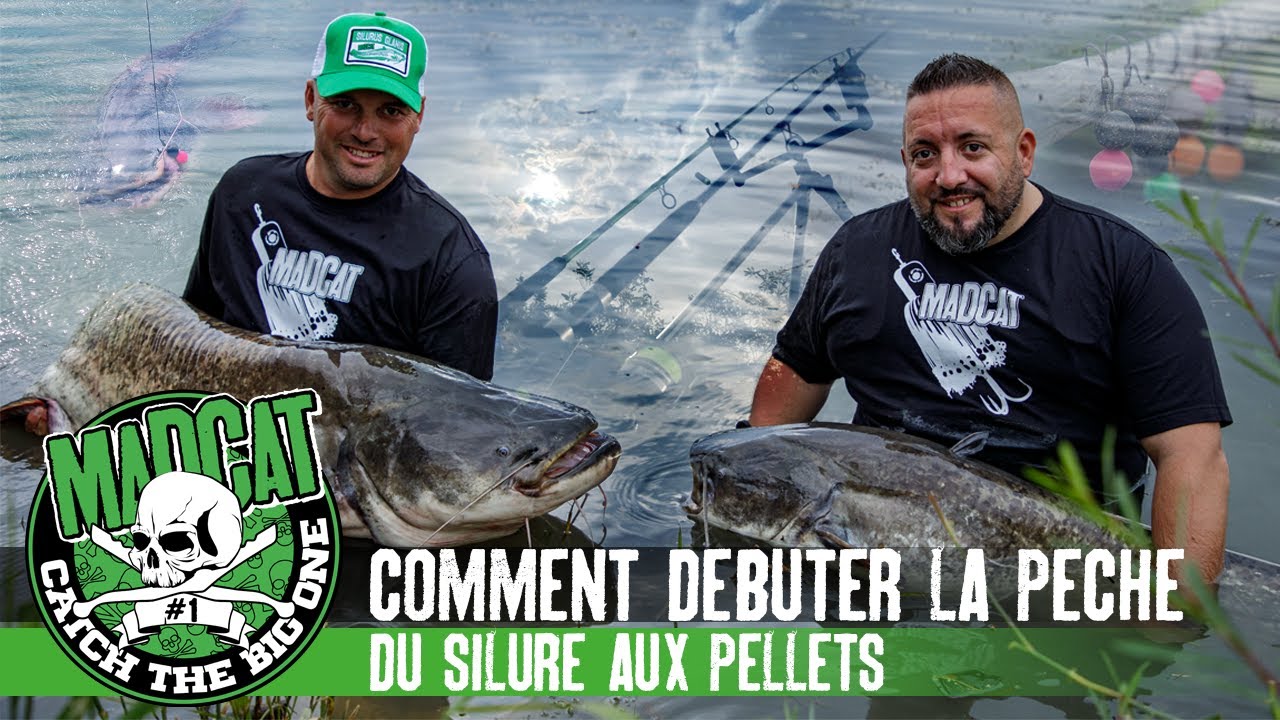 Comment débuter la pêche du silure au pellet - YouTube