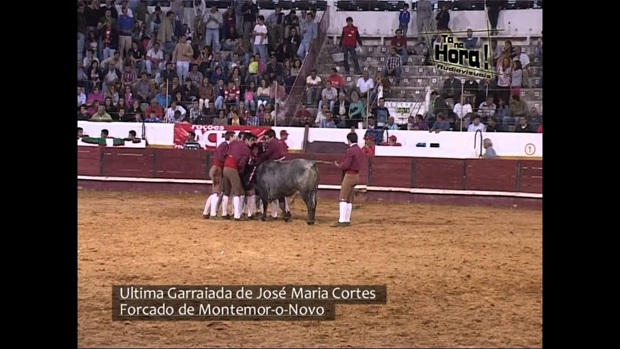 José Maria Cortes Forcado de Montemor-o-Novo - YouTube