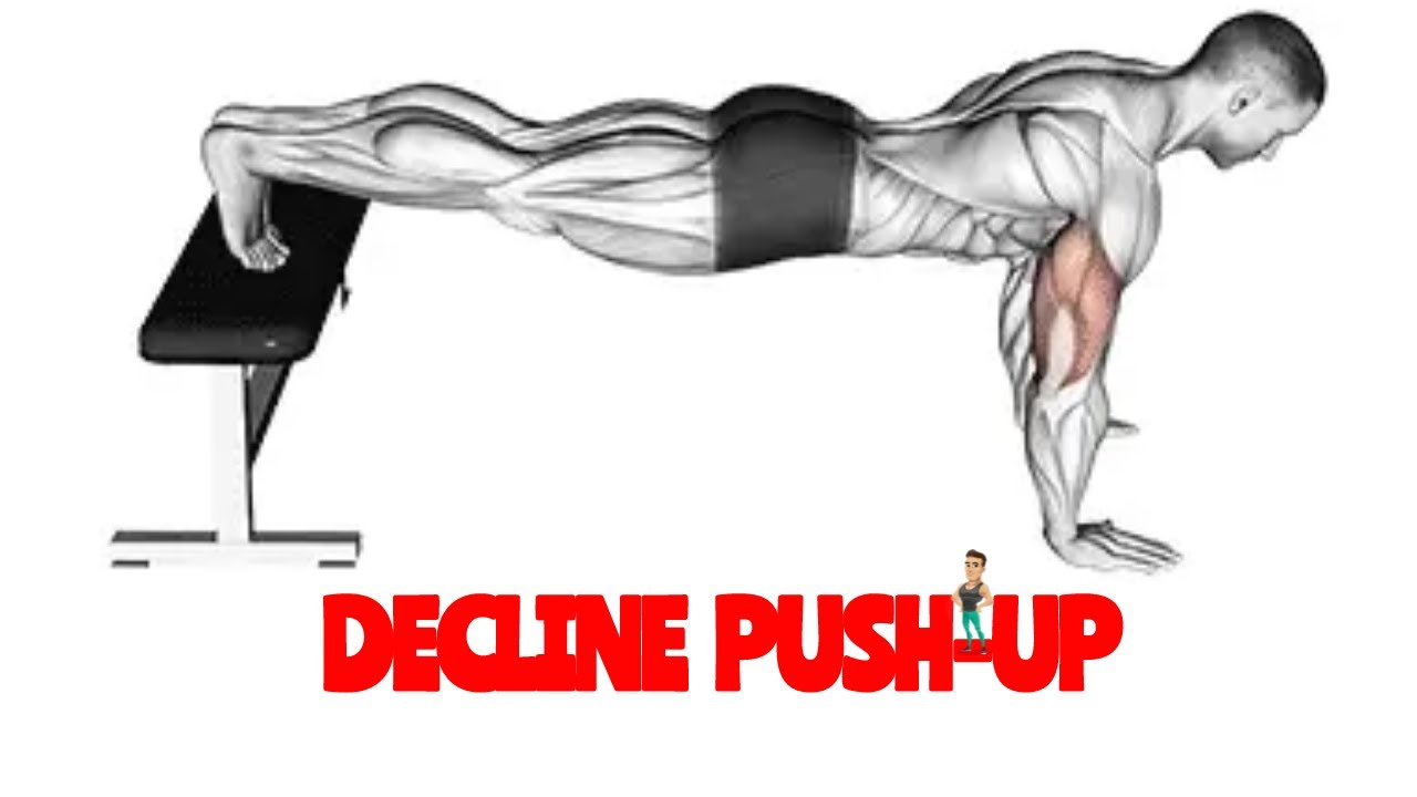 DECLINE PUSH UP - YouTube