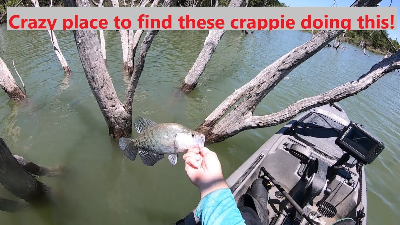 I can't believe what these crappie were doing here!! Crazy location for ...