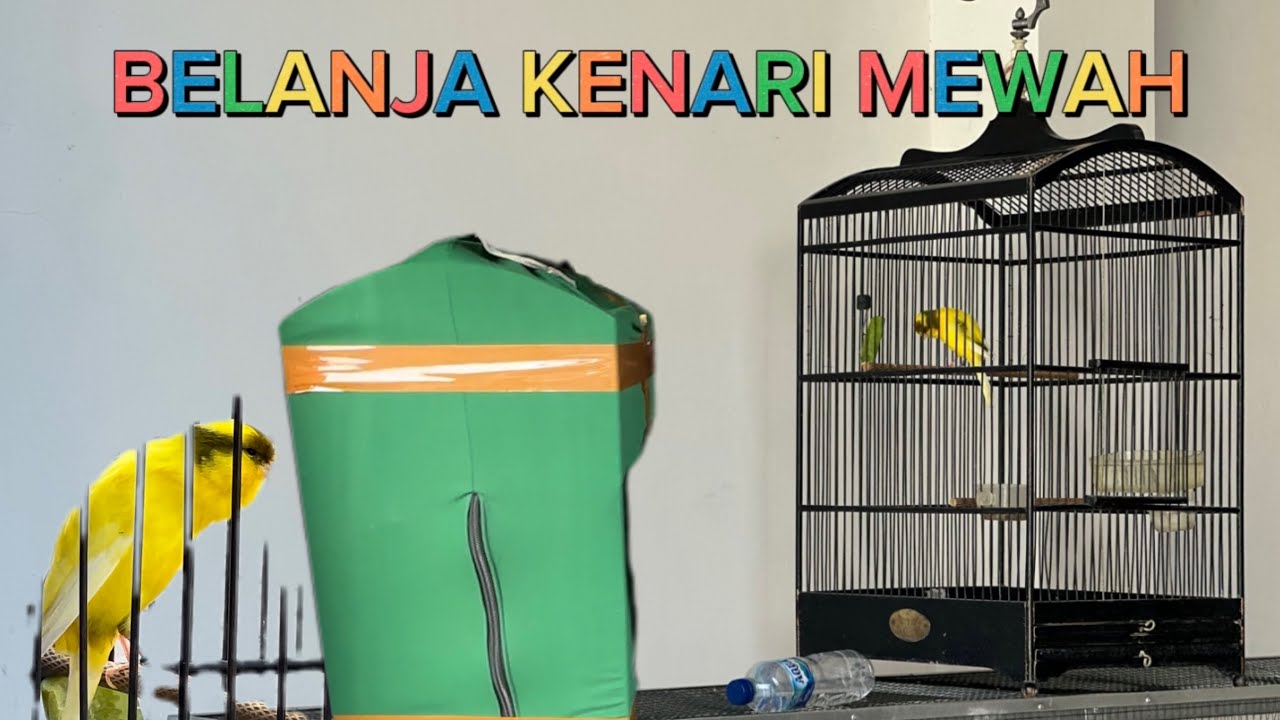 MISII PAKET KENARI MEWAHH, KALO RAME PART 2 LANGSUNG KITA GANTANG 😱🥳 ...