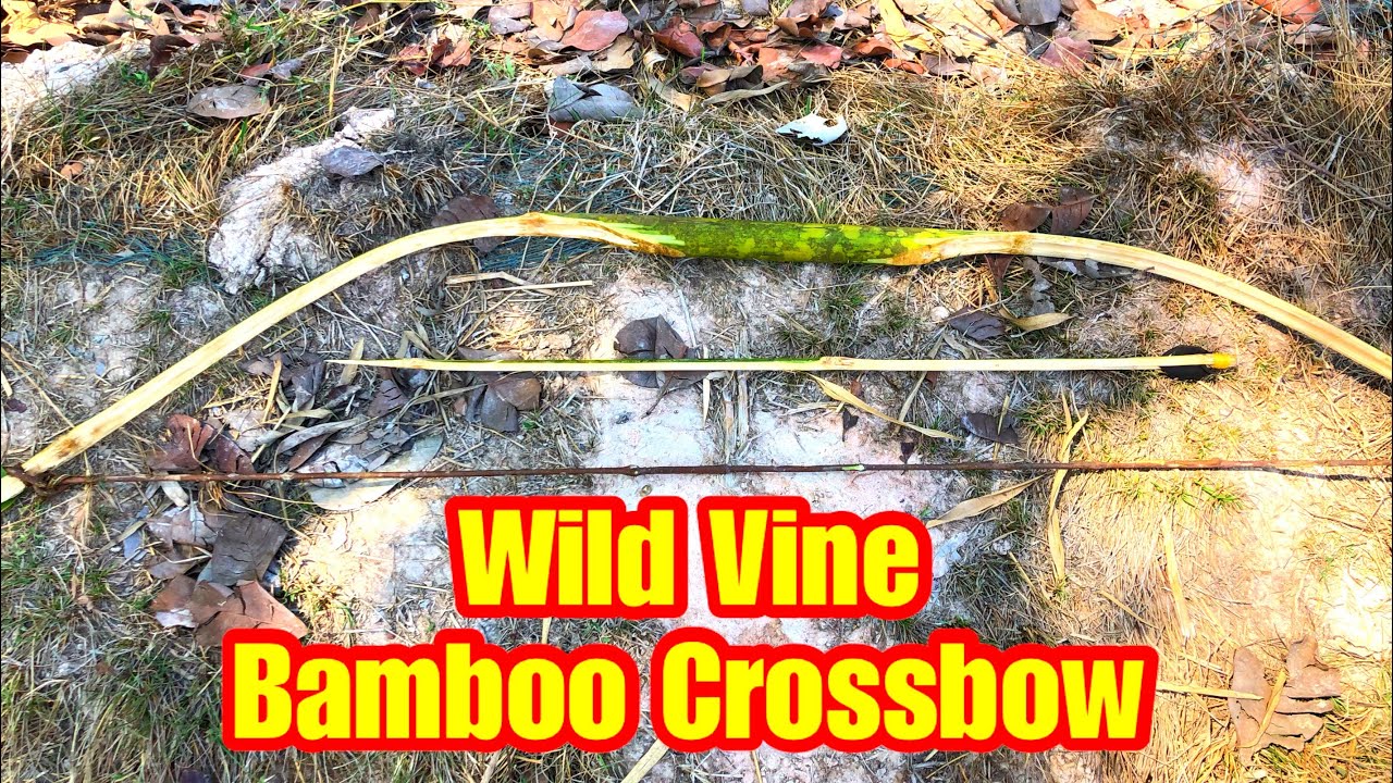 Primitive Bamboo Crossbow Using Wild Vine - YouTube
